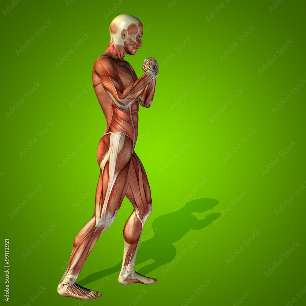 Conceptual 3D human man health anatomy Stock Illustration | Adobe Stock