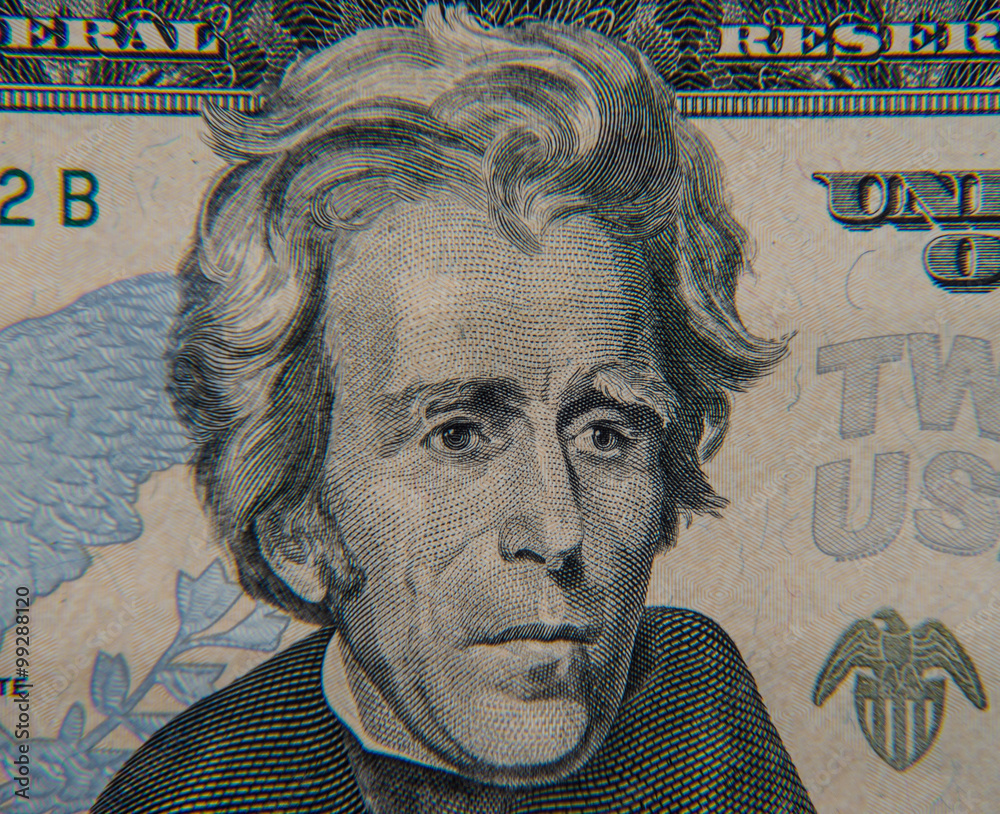 Andrew Jackson 20 Dollar Bill