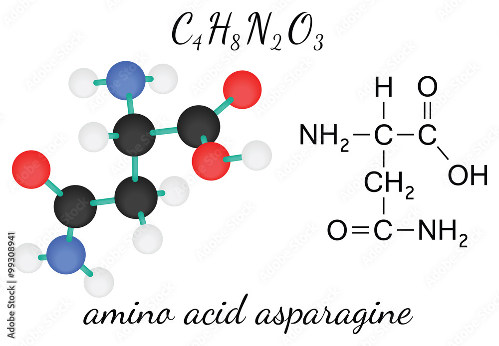 Asparagine Amino Acid Structure
