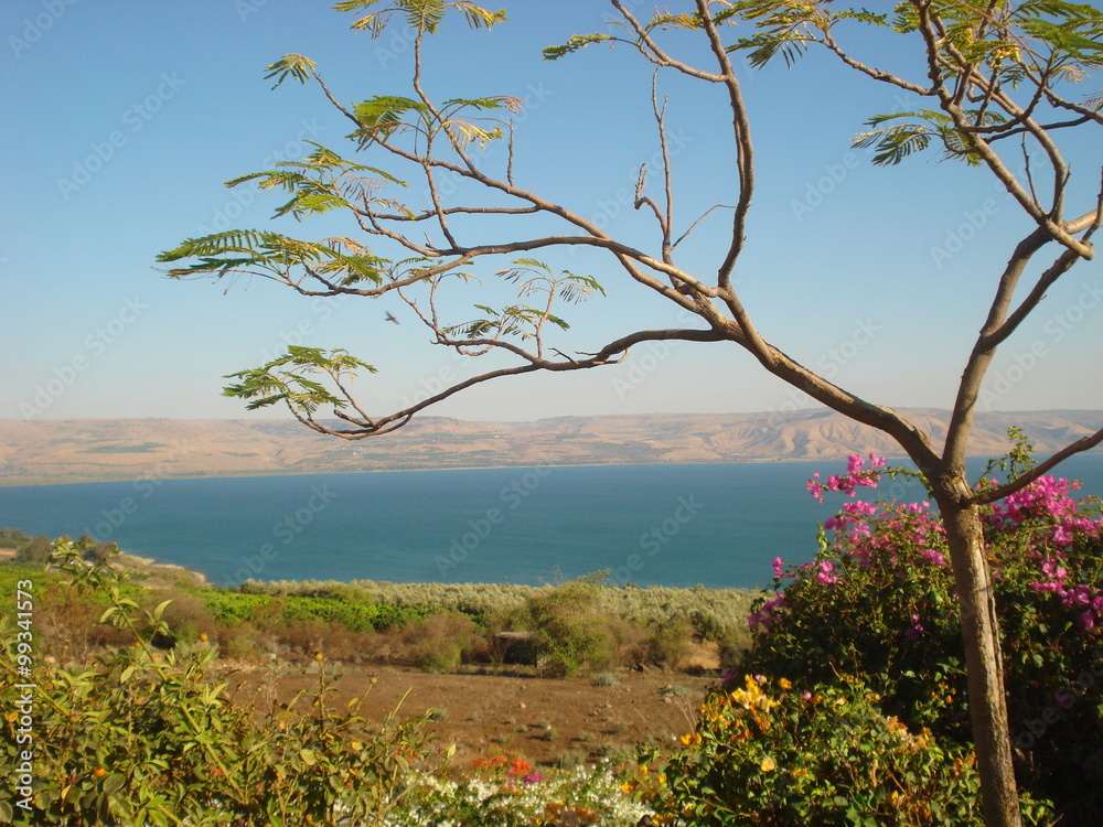Il lago di Tiberiade, Israele Stock Photo | Adobe Stock