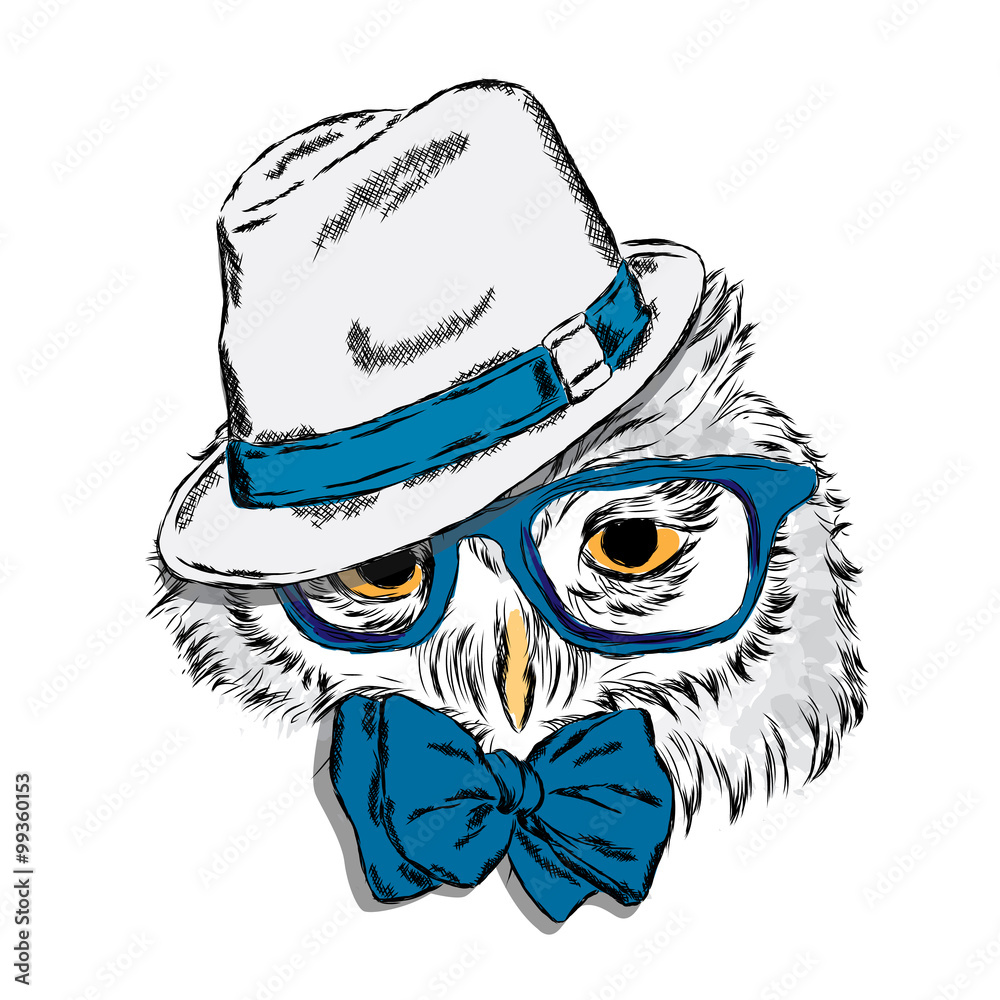 Owl wearing a hat and sunglasses . Owl - hipster . Fashion & Style ...