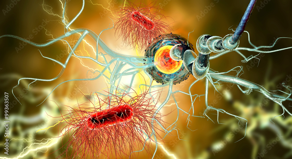3d illustration of nerve cells, concept for Neurological Diseases ...