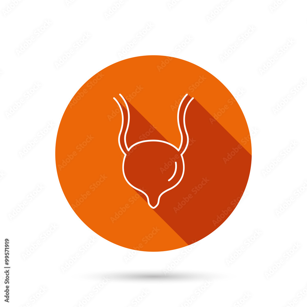 Urinary bladder icon. Human body organ sign. Stock Vector | Adobe Stock