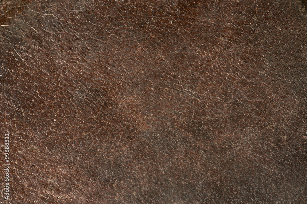 Worn Leather Texture