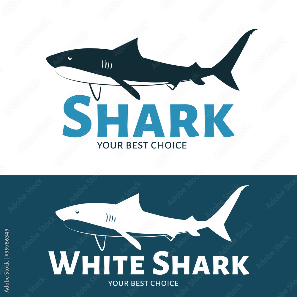 Vector modern logo in the shape of a shark. Brand logo. Stock Vector ...