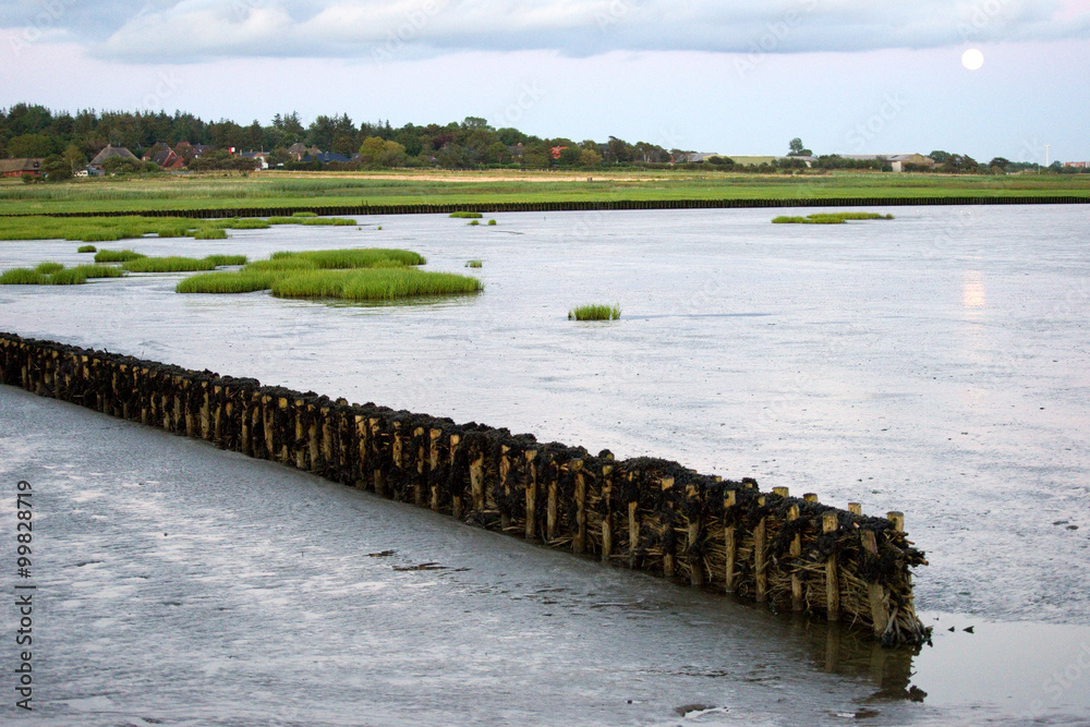 Wattenmeer bei Husum - Nordsee Stock-Foto | Adobe Stock