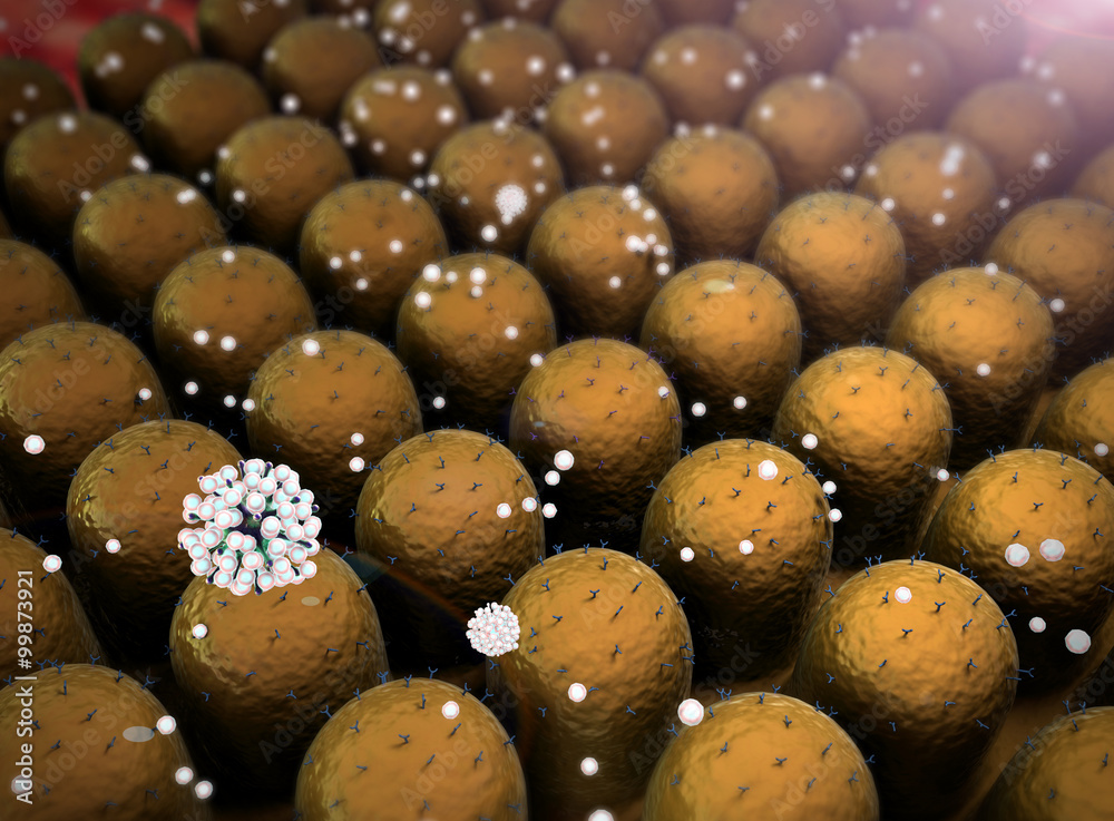 Human Immune System, field of cells, field of cells with receptors ...