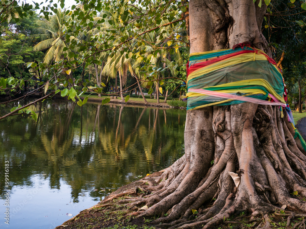 Holly Bodhi Tree Stock Photo | Adobe Stock