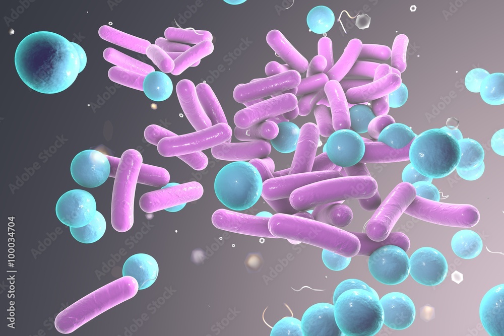 Rod-shaped and spherical bacteria, Escherichia coli, Salmonella ...