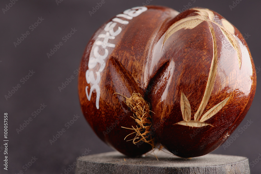 Seychelles sea's coconuts (coco de mer) - original souvenir from ...