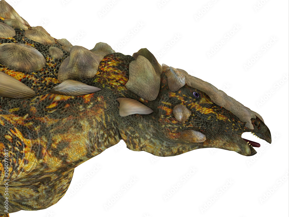 Gargoyleosaurus Dinosaur Head - Gargoyleosaurus was an Ankylosaurus ...