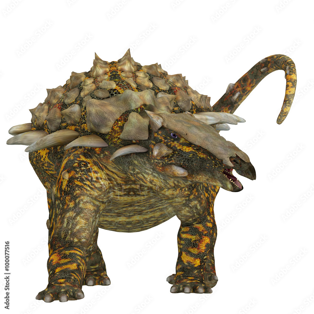 Gargoyleosaurus on White - Gargoyleosaurus was an Ankylosaurus armored ...