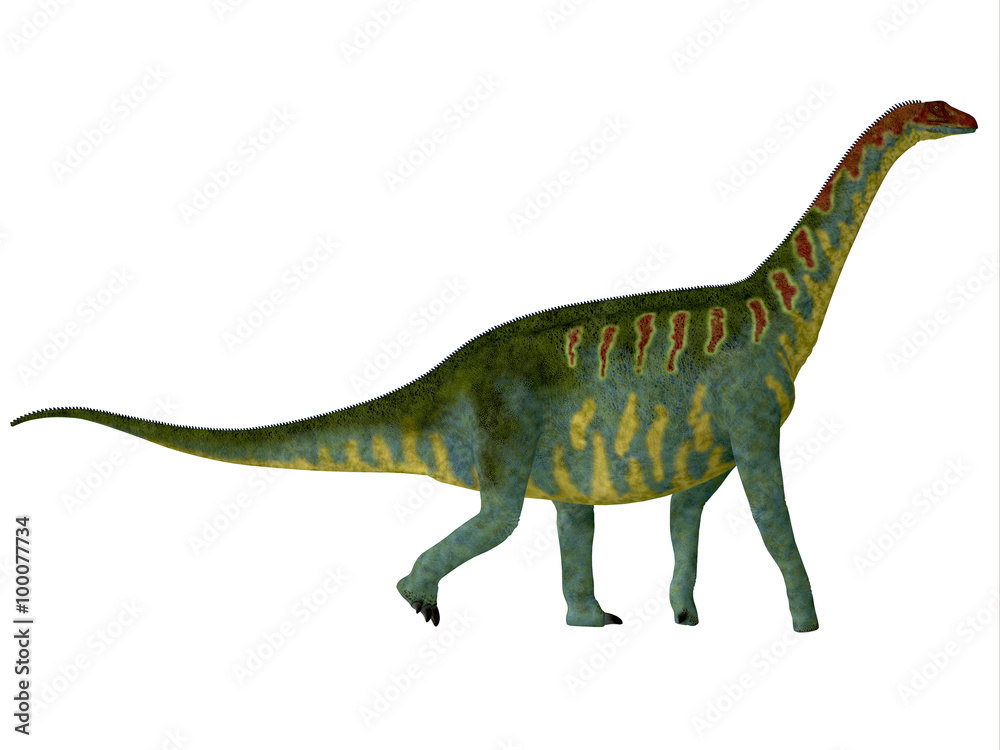 Jobaria Side Profile - Jobaria was a herbivorous sauropod dinosaur that ...