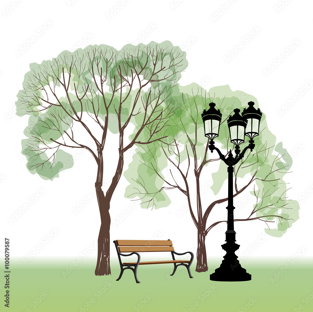 Bench and streetlight in park. Clity liandscape with trees summer ...