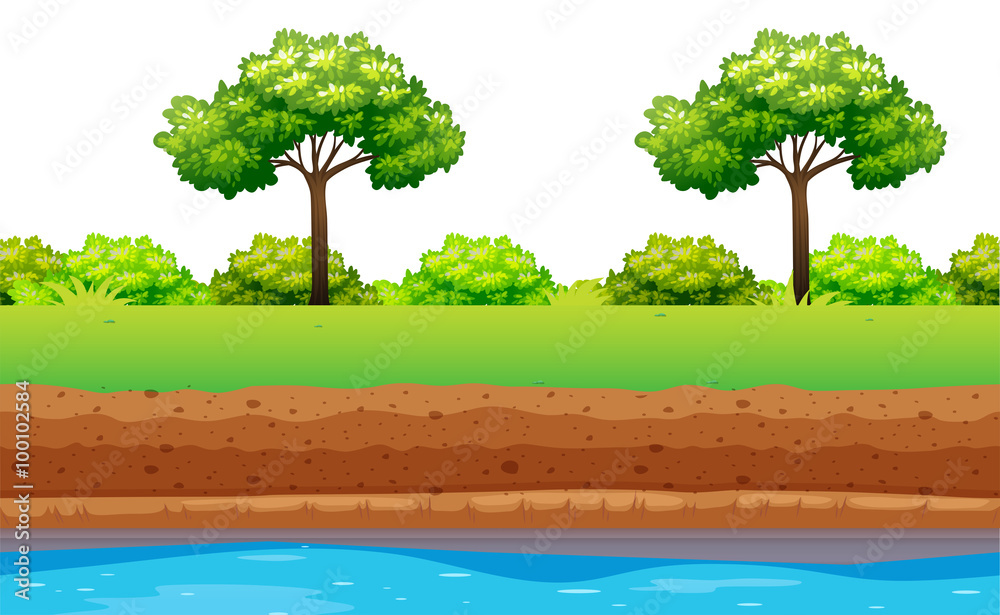 Green trees and bushes along the river Stock Vector | Adobe Stock