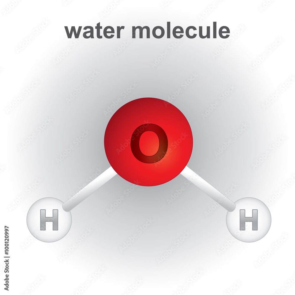 Structure and composition chemical element water molecule Stock Vector ...