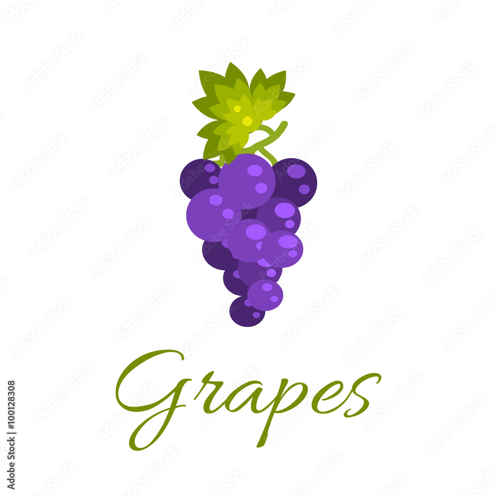 Grapes isolated vector icon. Gapes fruit on vine with leaf. Grapes logo ...