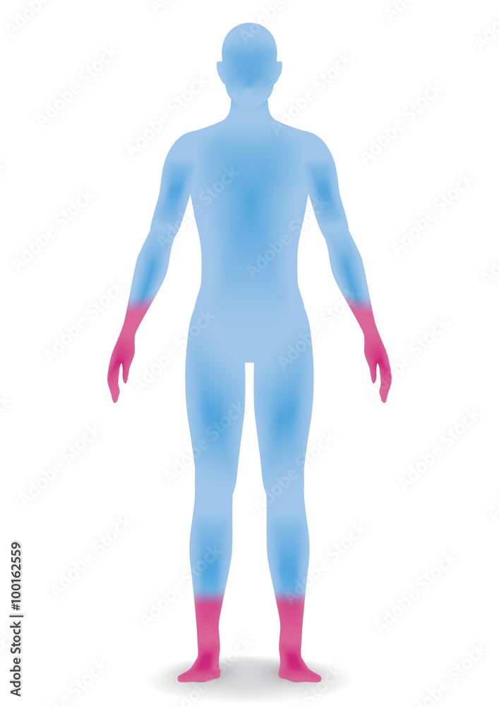 human body silhouette, vector illustration Stock Vector | Adobe Stock