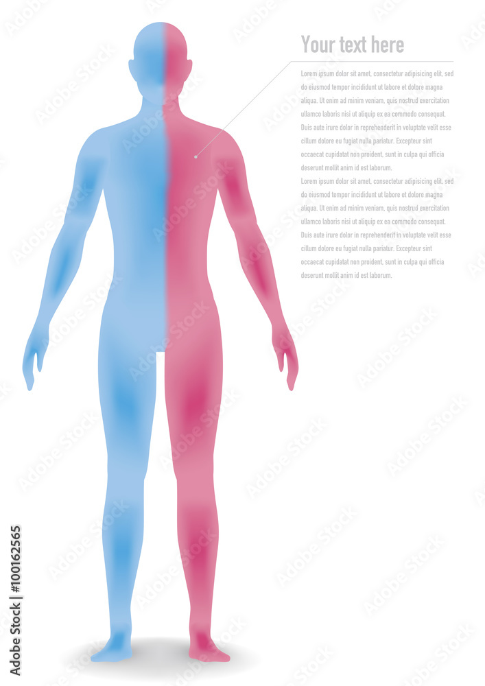 human body silhouette, vector illustration Stock Vector | Adobe Stock