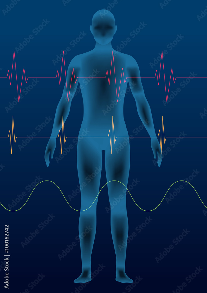 Vetor de human body silhouette and vital sign waveforms, vector ...