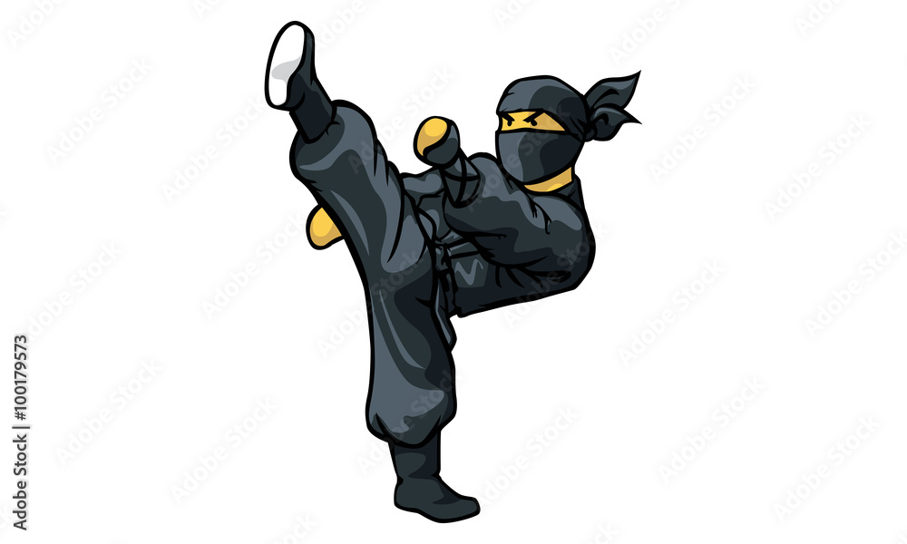 Ninja Kick