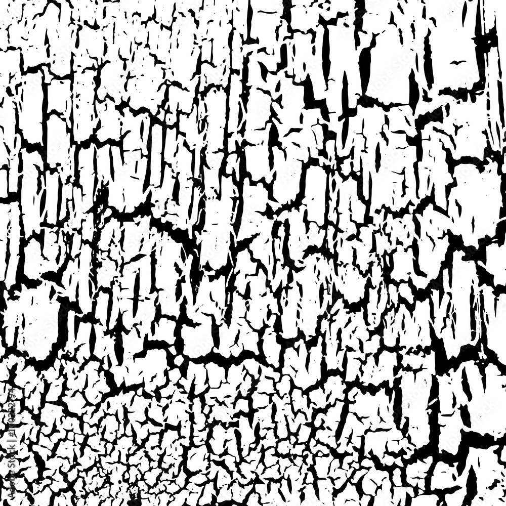 Shattered Texture Vector