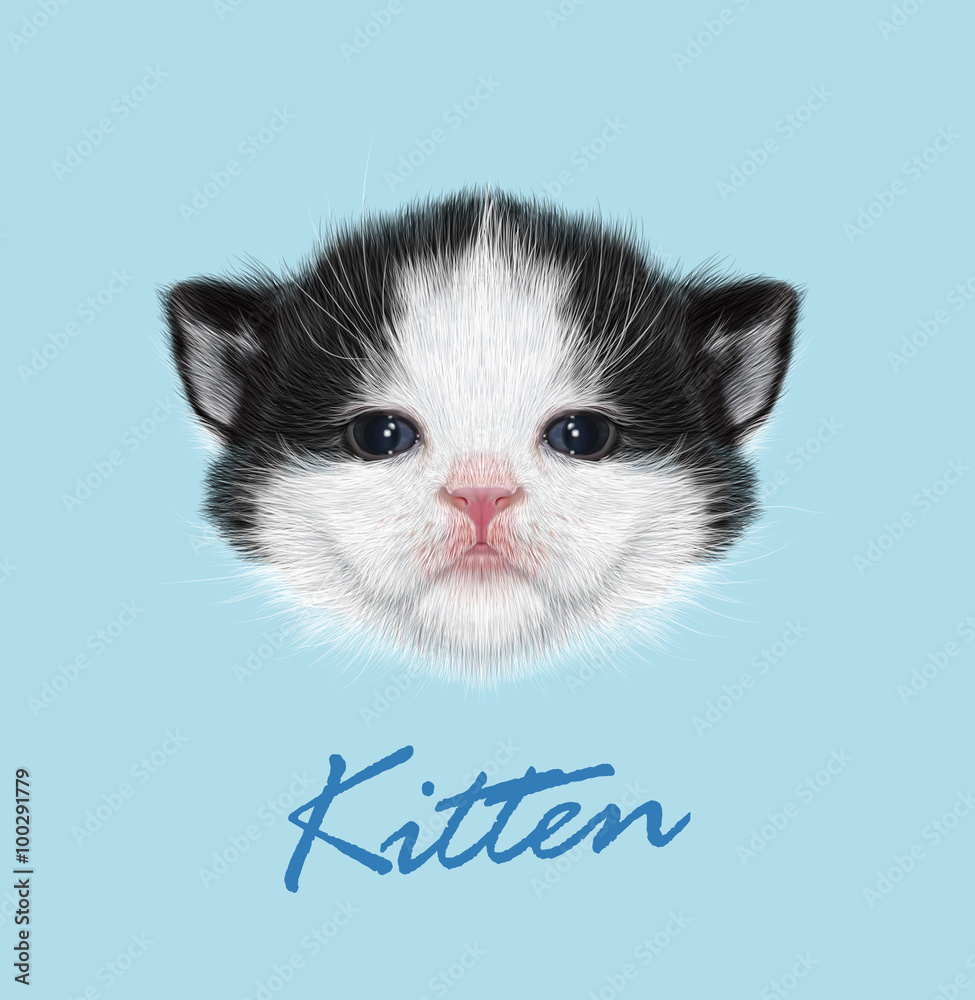 Kitten animal cute face. Vector funny newborn tiny cat head portrait ...