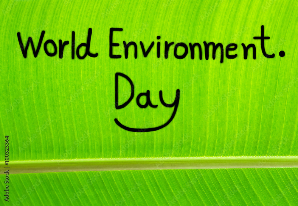 Banana leaf textured, write World Environment Day Stock Photo | Adobe Stock