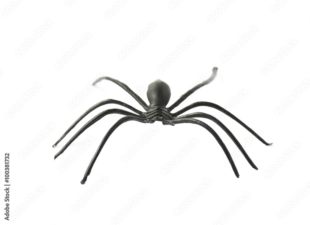 Fake rubber spider toy isolated Stock Photo | Adobe Stock