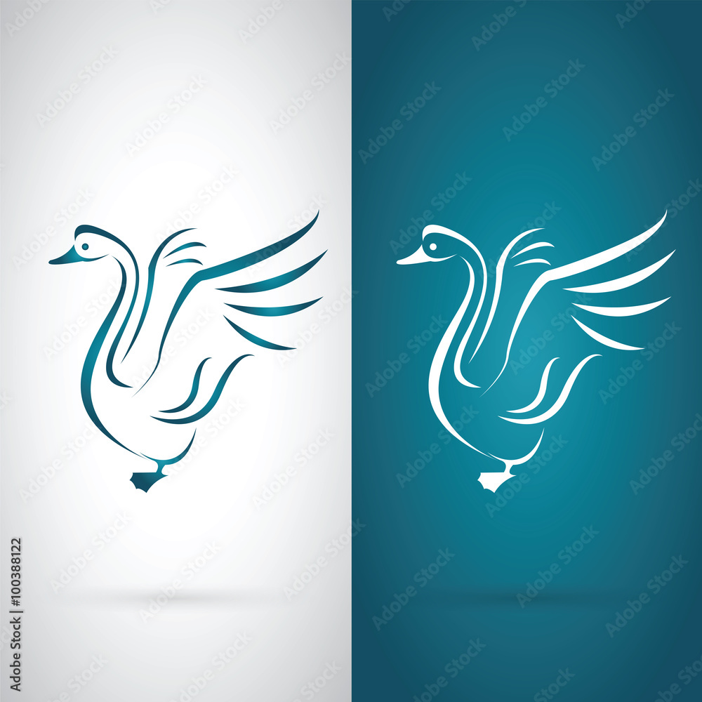 Vector image of an swan design on white background and blue back Stock ...