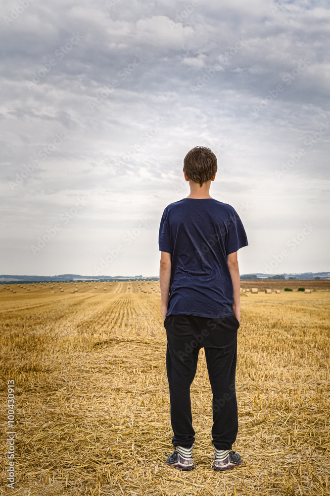 the back of a teenage boy looking into the landscape Stock Photo ...
