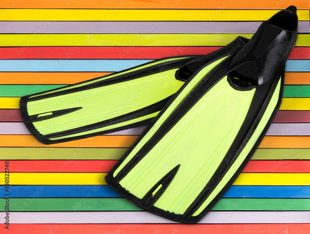 Flipper. Stock Photo | Adobe Stock