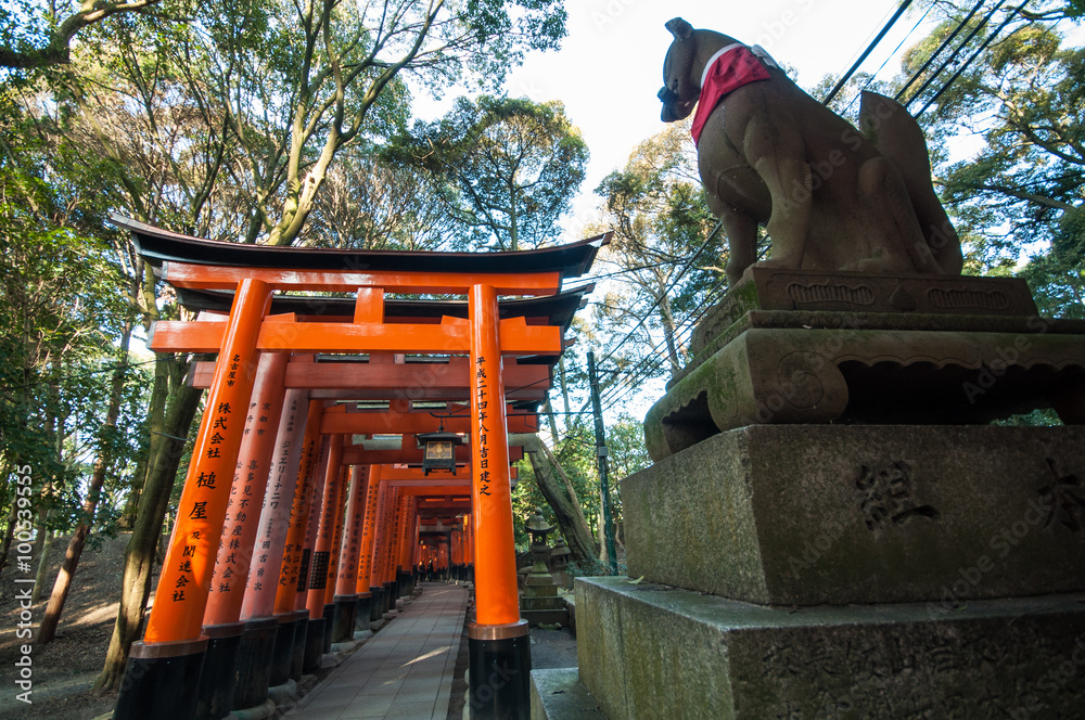 Red gate with fox statue in Japanese shrine / Red gate with fox statue ...
