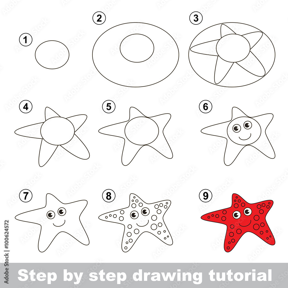 Drawing tutorial. How to draw a Starfish Stock Vector | Adobe Stock