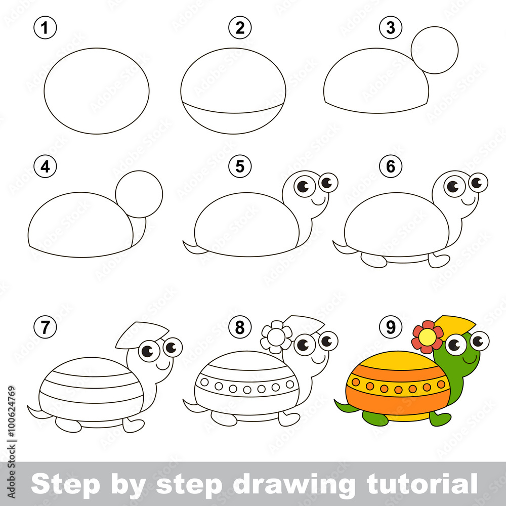 Sea Turtle Drawing Tutorial