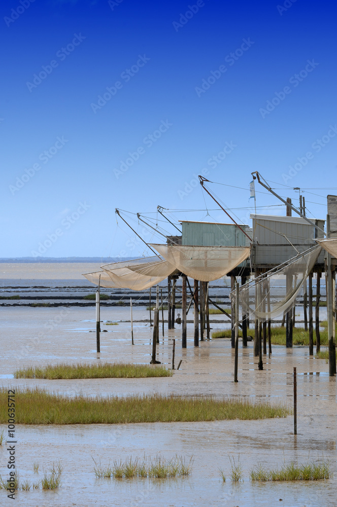 carrelet Stock Photo | Adobe Stock