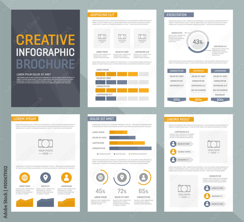 Vector template for multipurpose presentation slides with graphs and ...