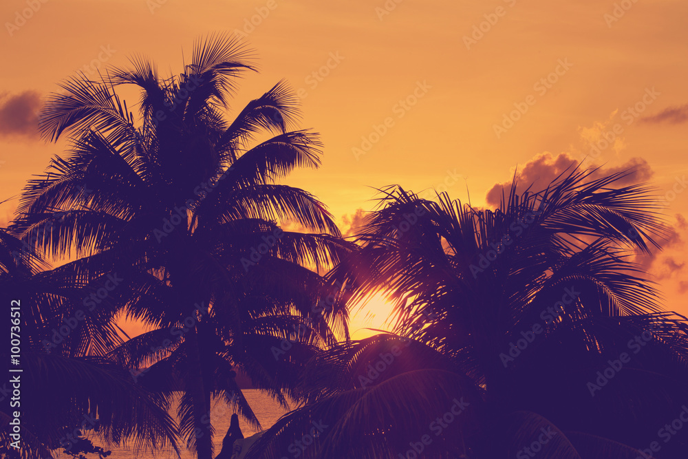 Sunset through palm tree silhouette Stock Photo | Adobe Stock