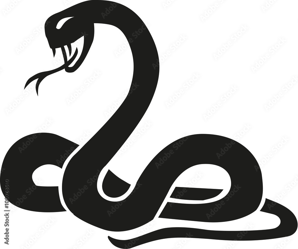 Aggressive snake ready to bite Stock Vector | Adobe Stock