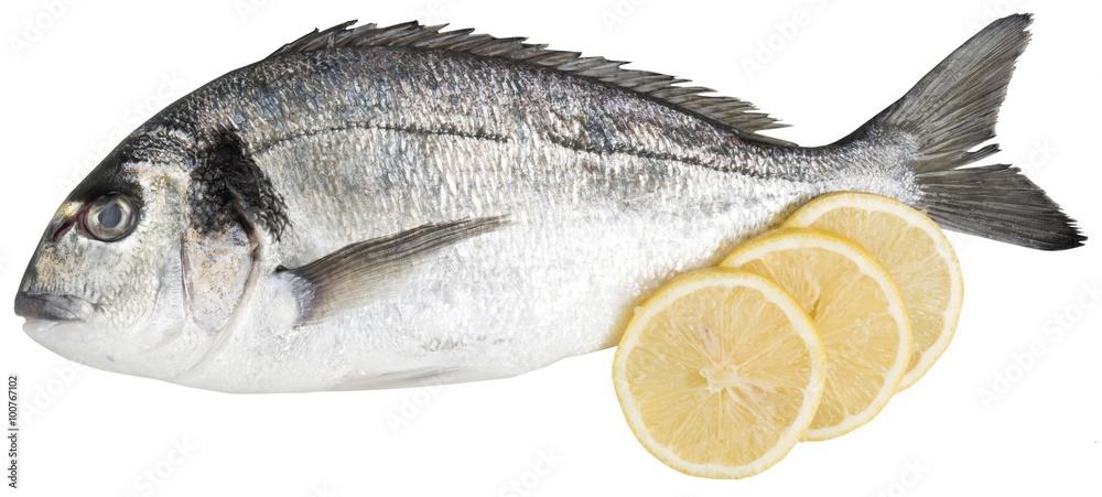 Poster Sea bream profile with 3 slices of lemon – Wall Art | UkPosters