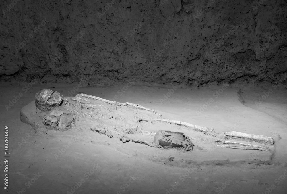 grave burial skeleton human bones at Thailand Stock Photo | Adobe Stock