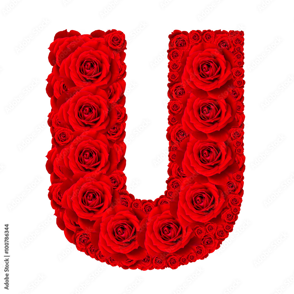 Rose alphabet set - Alphabet capital letter U made from red rose ...