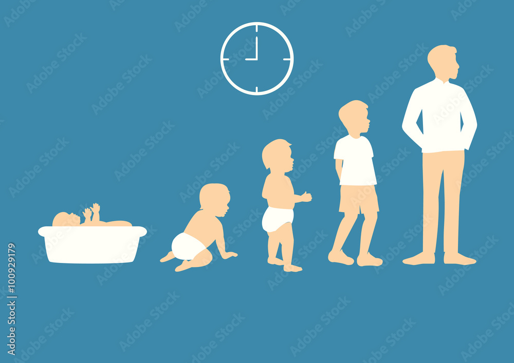 Stages of growing up from baby to man Stock Vector | Adobe Stock
