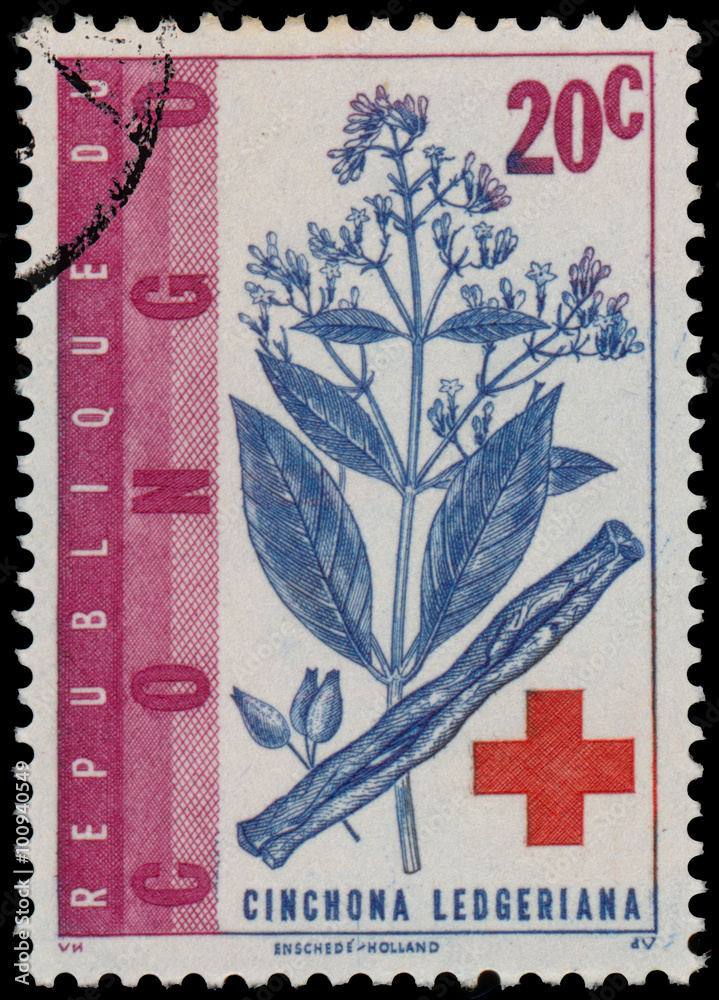 CONGO - CIRCA 1963: a stamp printed in Congo shows Cinchona ledgeriana ...