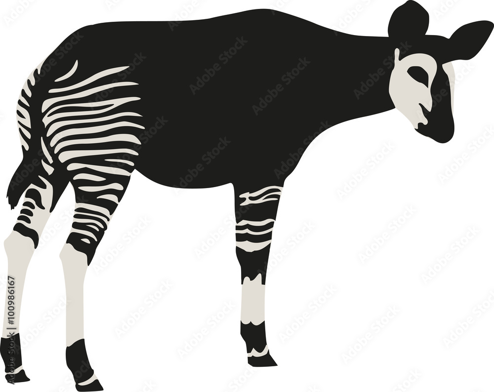 Okapi Stock Vector | Adobe Stock