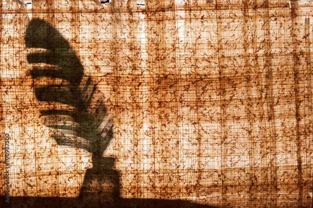 Papyrus sheet with its typical structure and texture and a quill pen ...