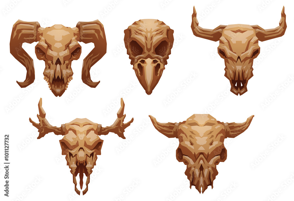Vector set of images of beige skulls of animals with horns: sheep, bird ...