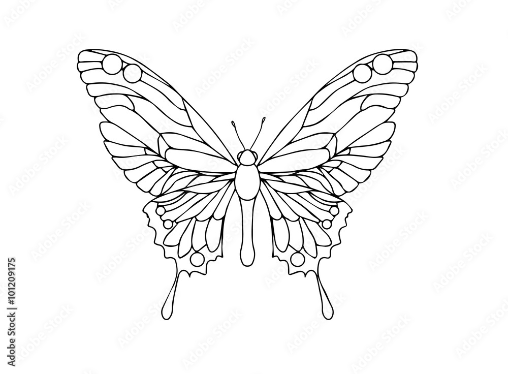 Hand drawn ornamental butterfly outline illustration Stock Vector ...