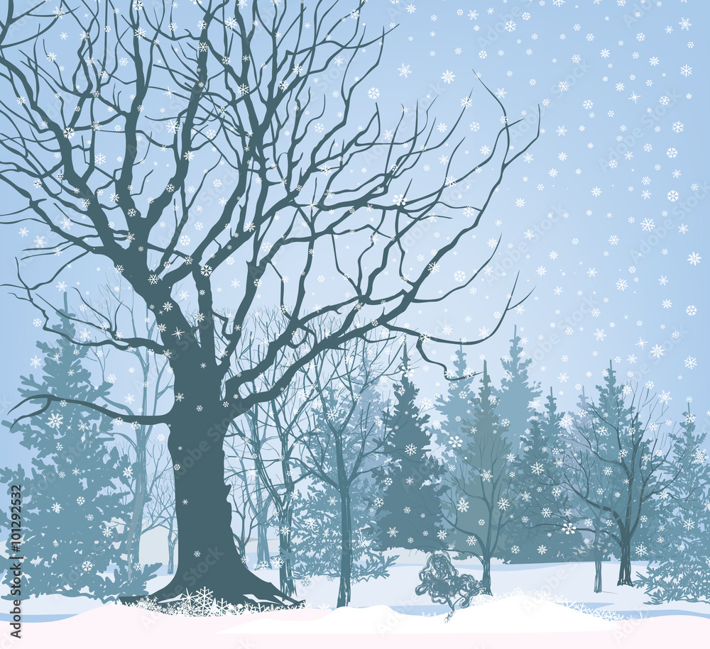 Winter scene with forest background. Christmas snow tree landscape ...