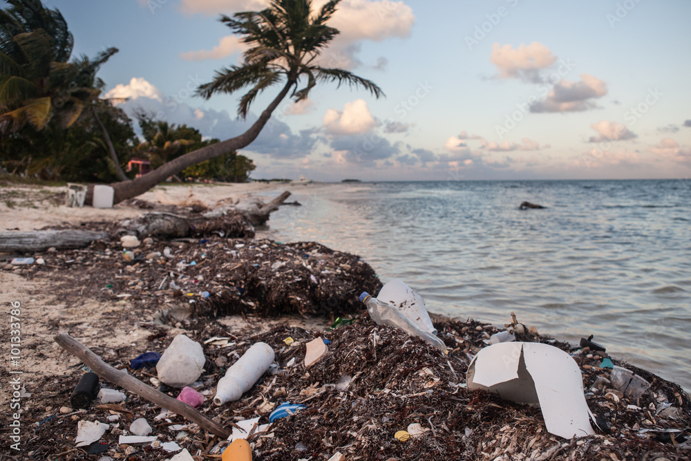 Plastic Pollution on Caribbean Beach Stock Photo | Adobe Stock